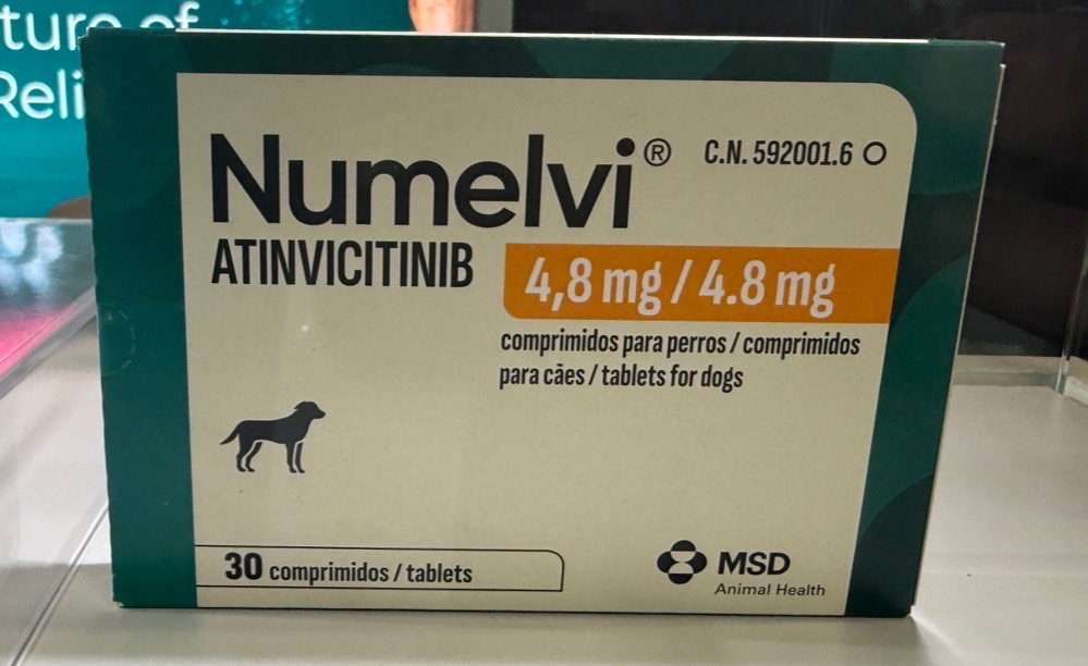 【皮膚科】犬のアトピー性皮膚炎治療における新しい選択肢Numelvi™（アチンビシチニブ） - 東京動物皮膚科センター/神宮前動物病院